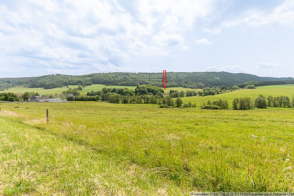 von Wald und Wiesen umgeben - Immobilien Skiba